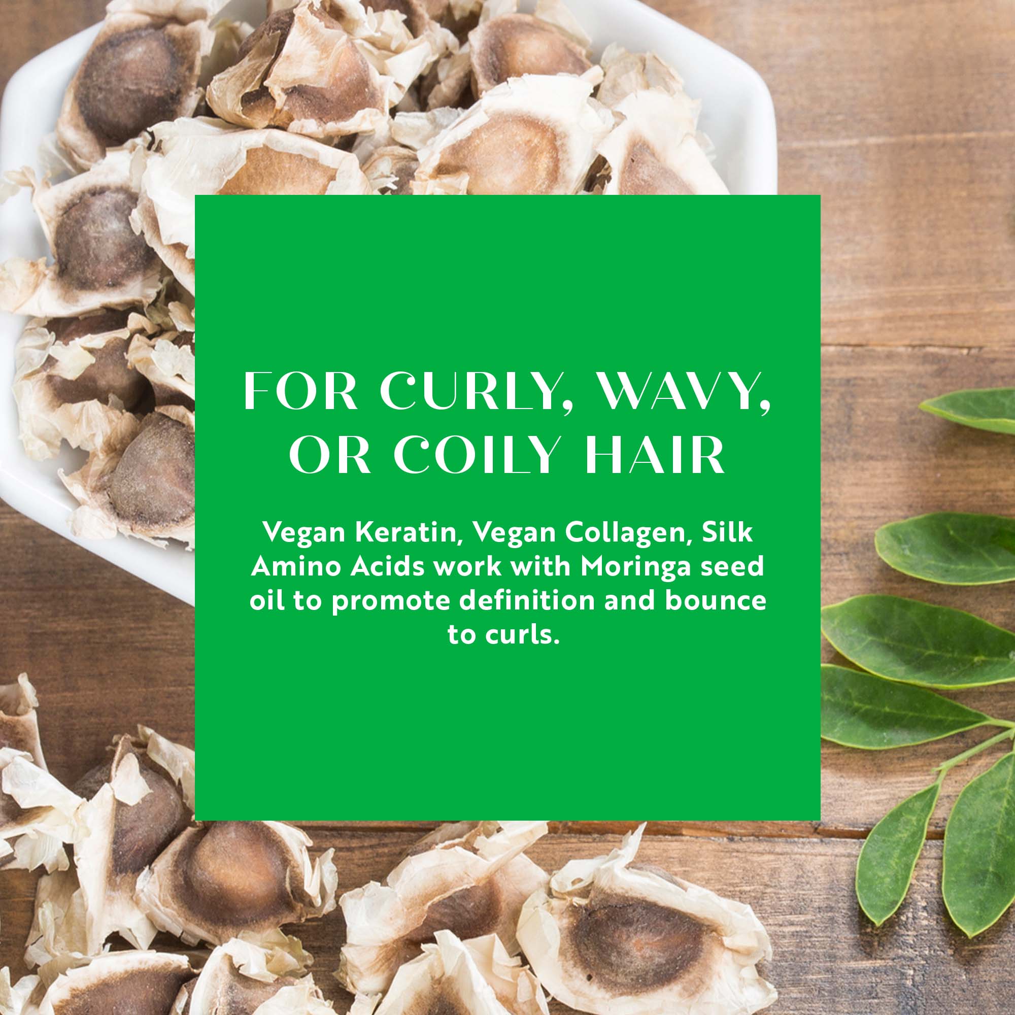 Freedom Bundle: Shampoo and Conditioner with Moringa Seed Oil & Vegan ...