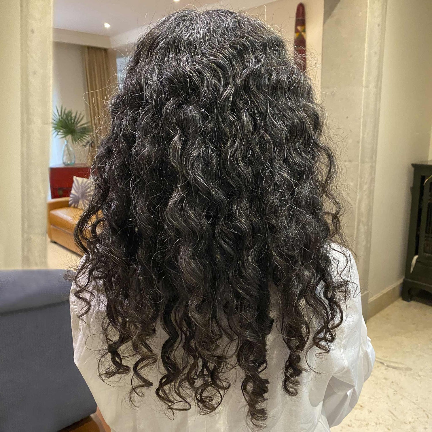 Freedom Collection – LatinUs Beauty